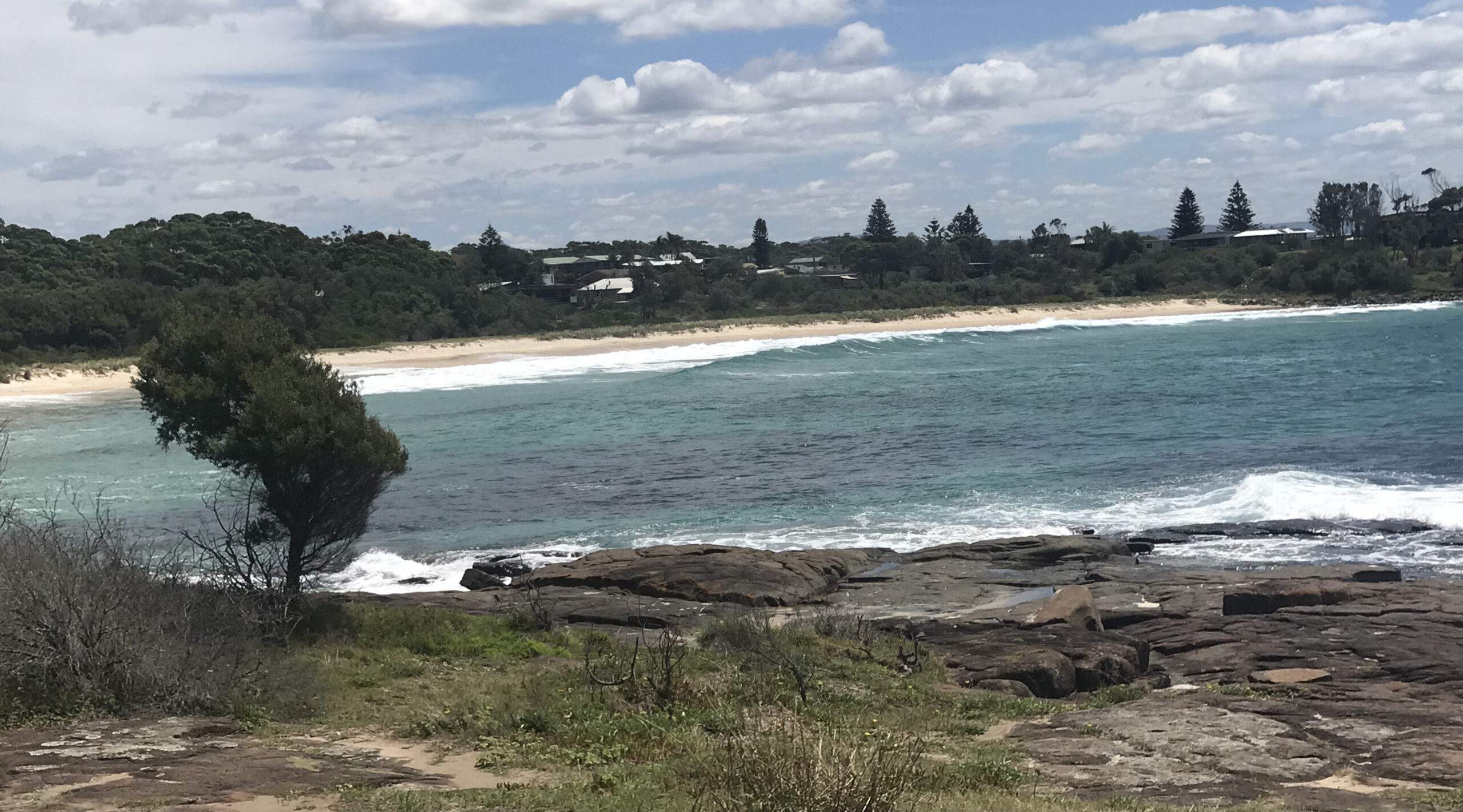 Gannet Beach Viewing Platform - Bawley Point Kioloa Termeil Community ...
