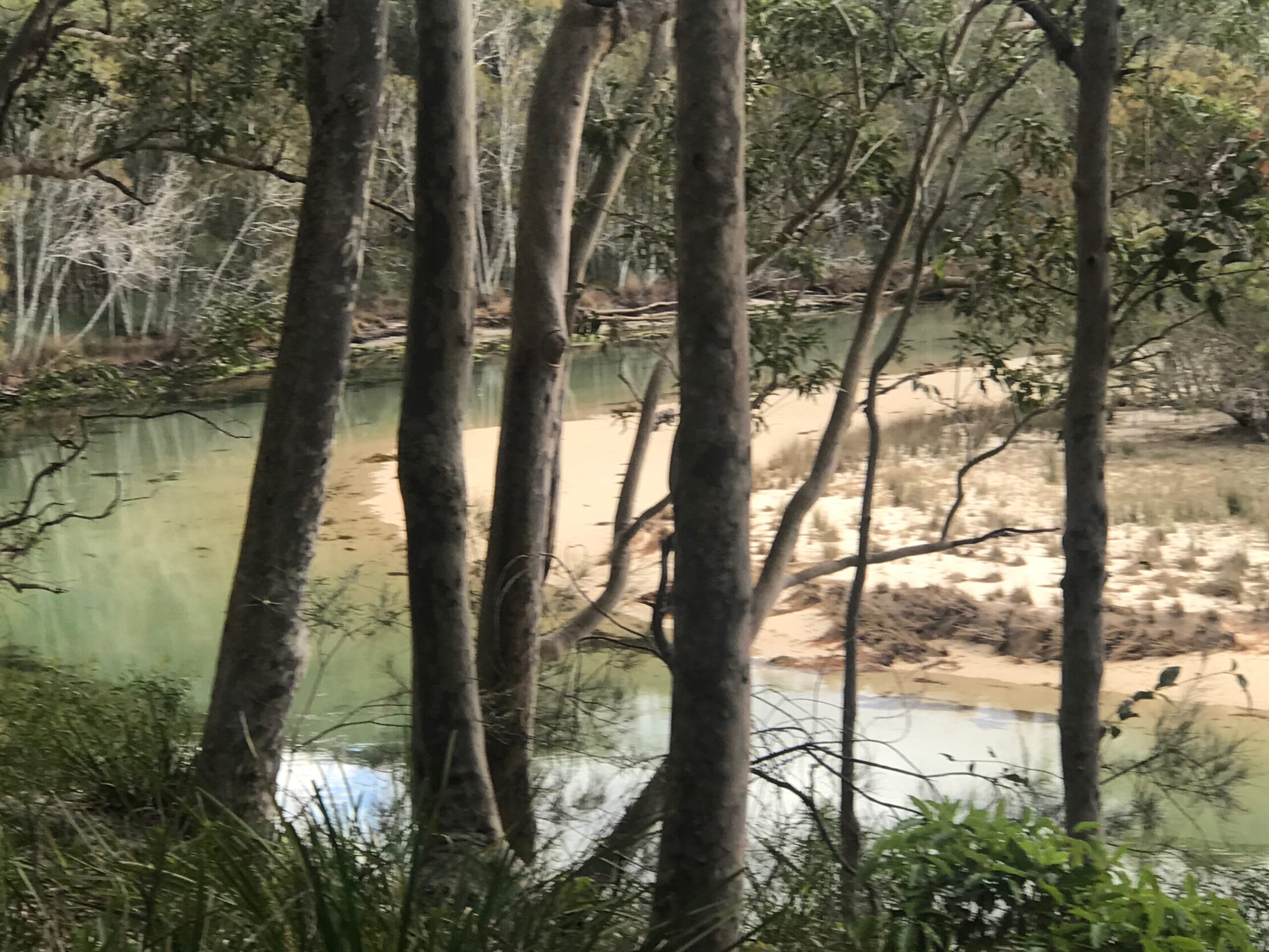 Willinga Lake - Bawley Point Kioloa Termeil Community Association